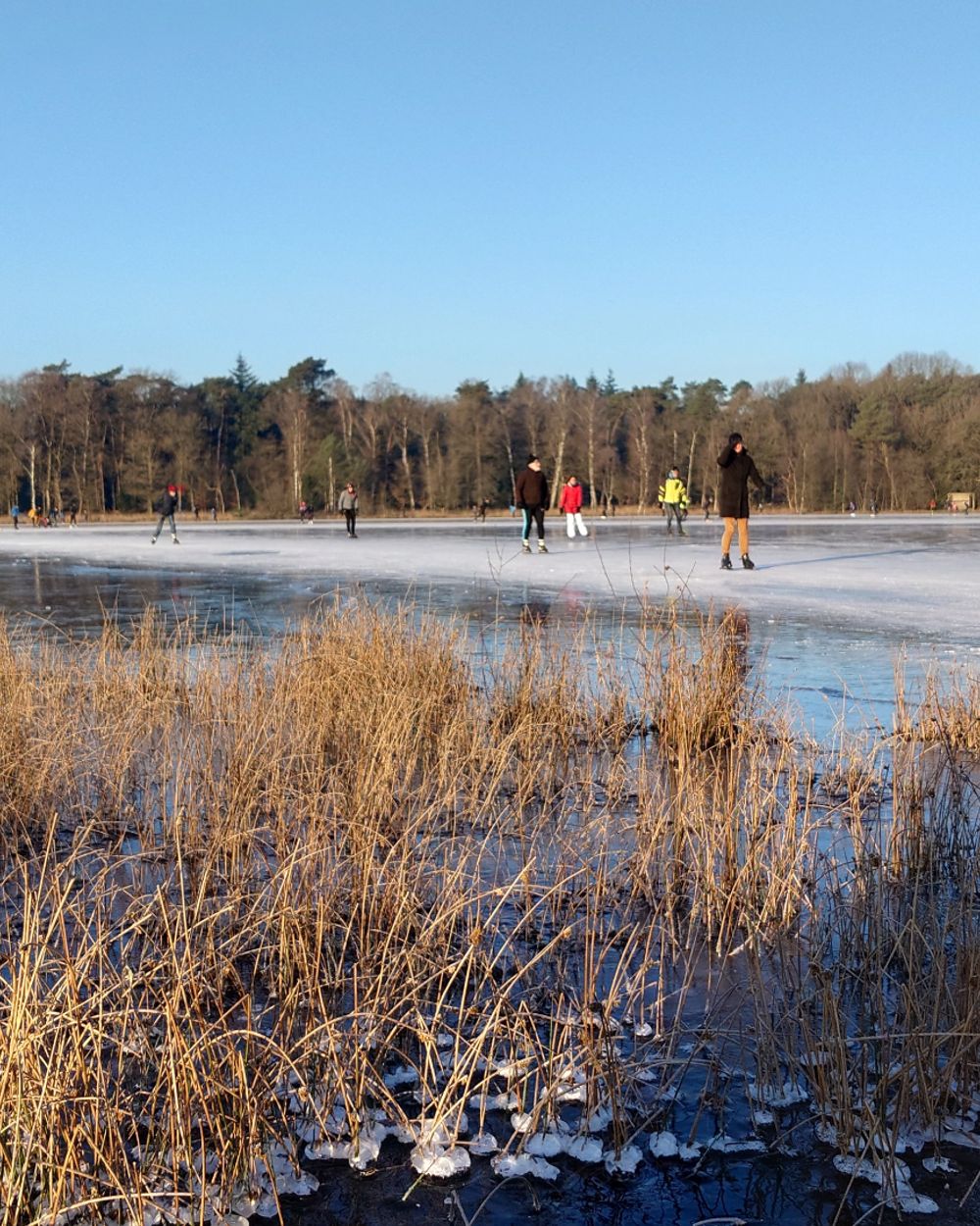 Natuurijs of schaatsbaan: hier kun je (nu het nog kan) schaatsen in de ...