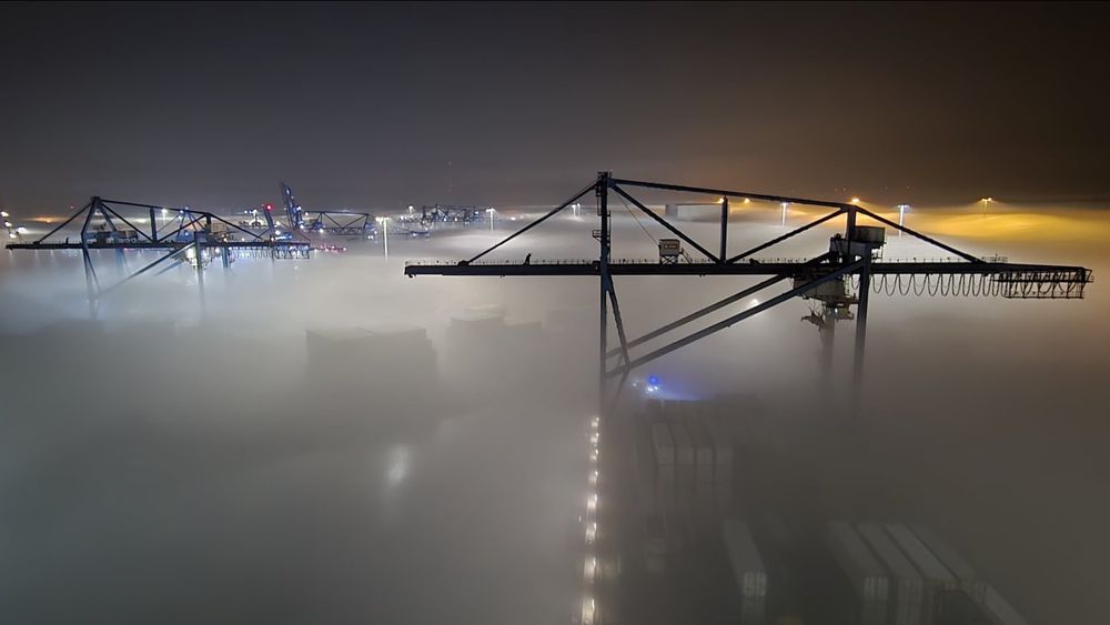 Weggebruikers opgelet: dichte mist, KNMI geeft code geel af - Rijnmond