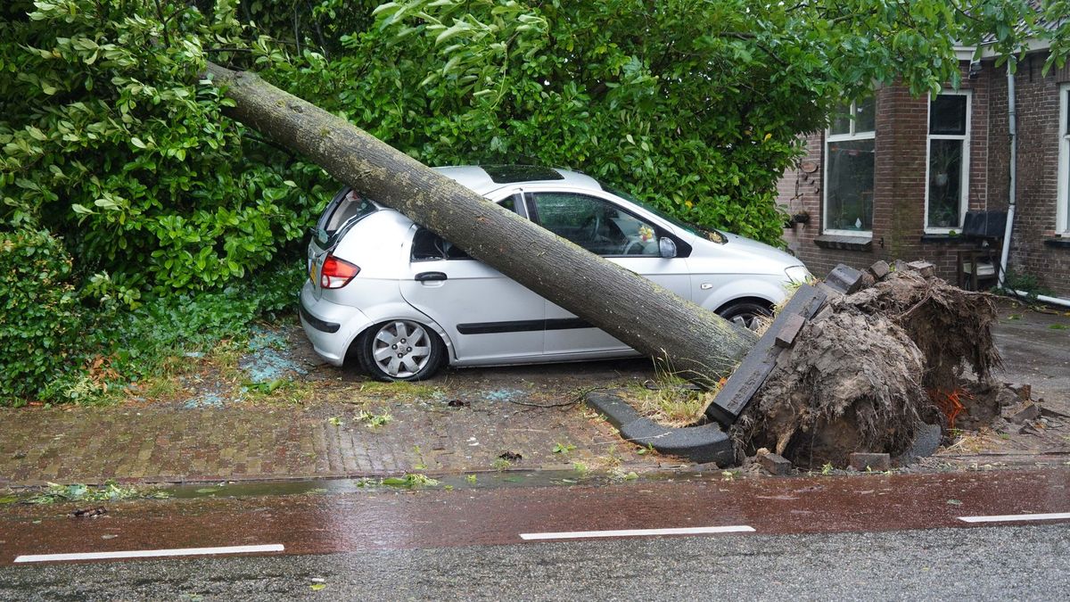 In beeld: Storm Poly houdt huis in Drenthe - RTV Drenthe