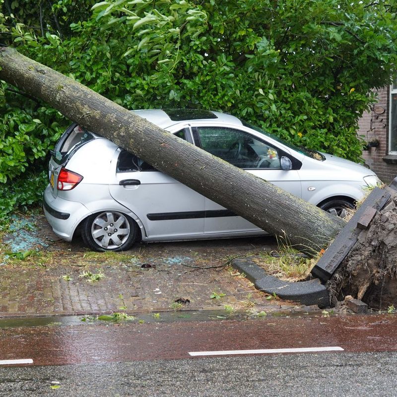 In beeld: Storm Poly houdt huis in Drenthe - RTV Drenthe