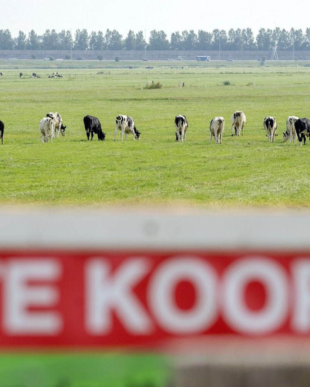 Meer boeren verkopen bedrijf, stikstofmaatregelen belangrijke factor - RTV Drenthe