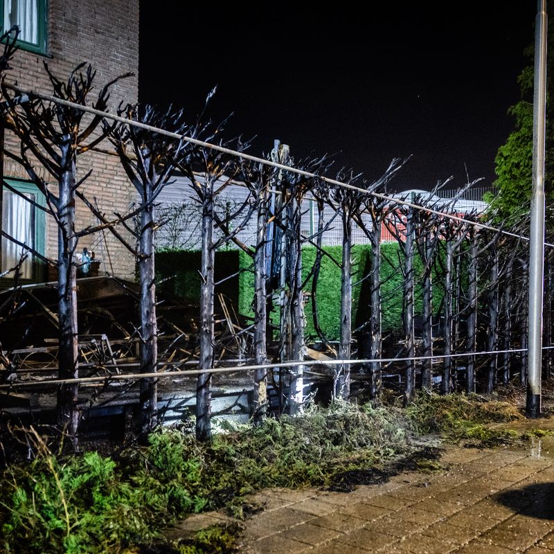 Groot opgeschaald voor heg in brand - Rijnmond