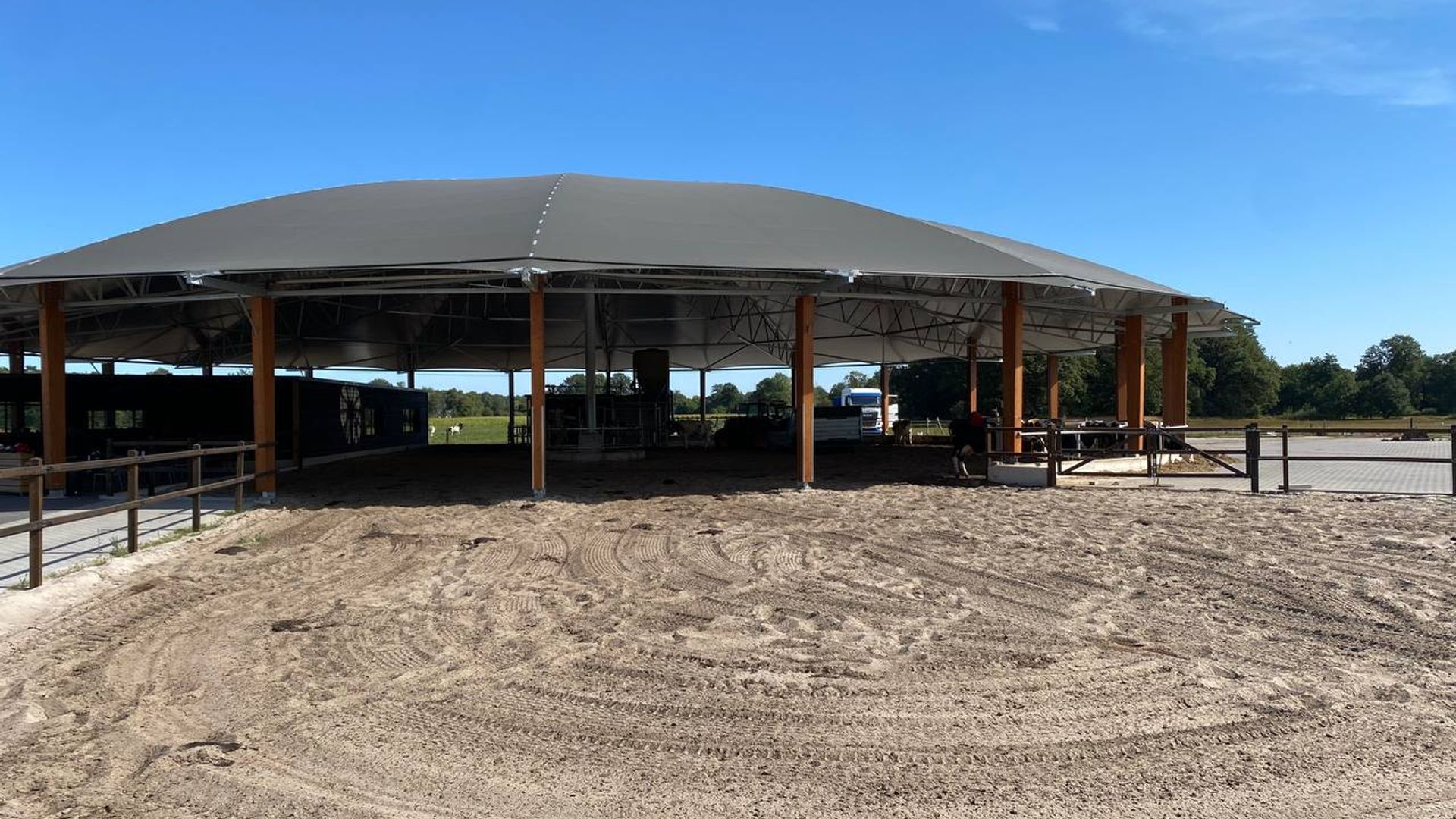 Vrije-uitloopstal voor 'minder stikstofuitstoot en blije zandkoeien' - Oost