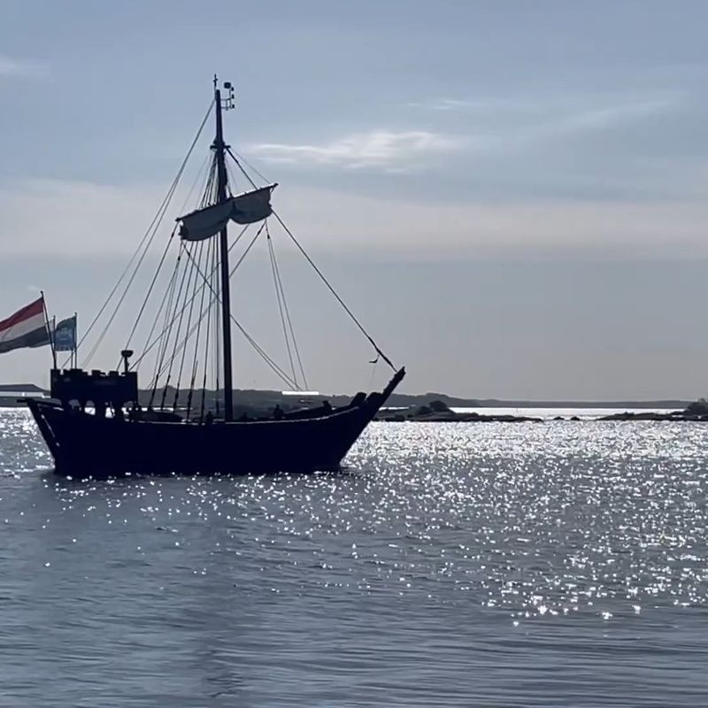 Deze mensen voeren in een middeleeuws schip naar Zweden - Omroep Gelderland