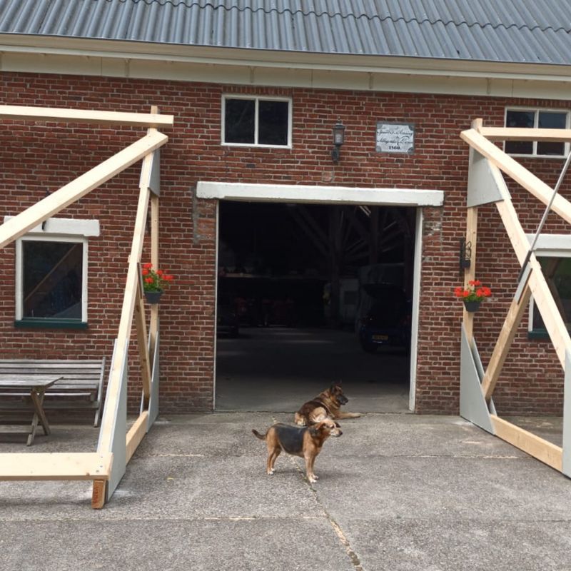 Hoger beroep IMG ingetrokken: 'Ik was doodmoe en ben vroeg naar bed gegaan' - RTV Noord