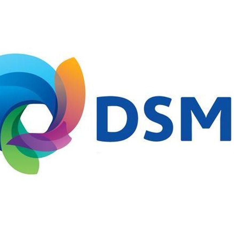 Nieuw logo voor DSM - L1