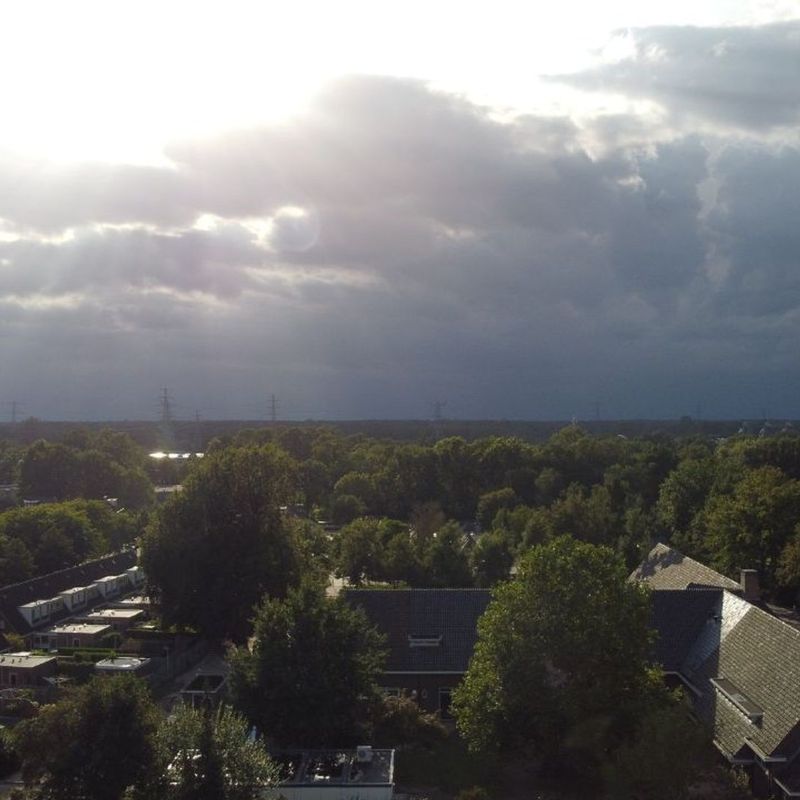 KNMI geeft code geel voor Overijssel: zondag onstuimig weer verwacht - Oost