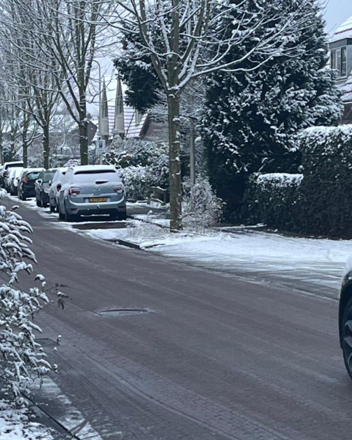 Sneeuw is terug, maar niet voor lang - RTV Utrecht