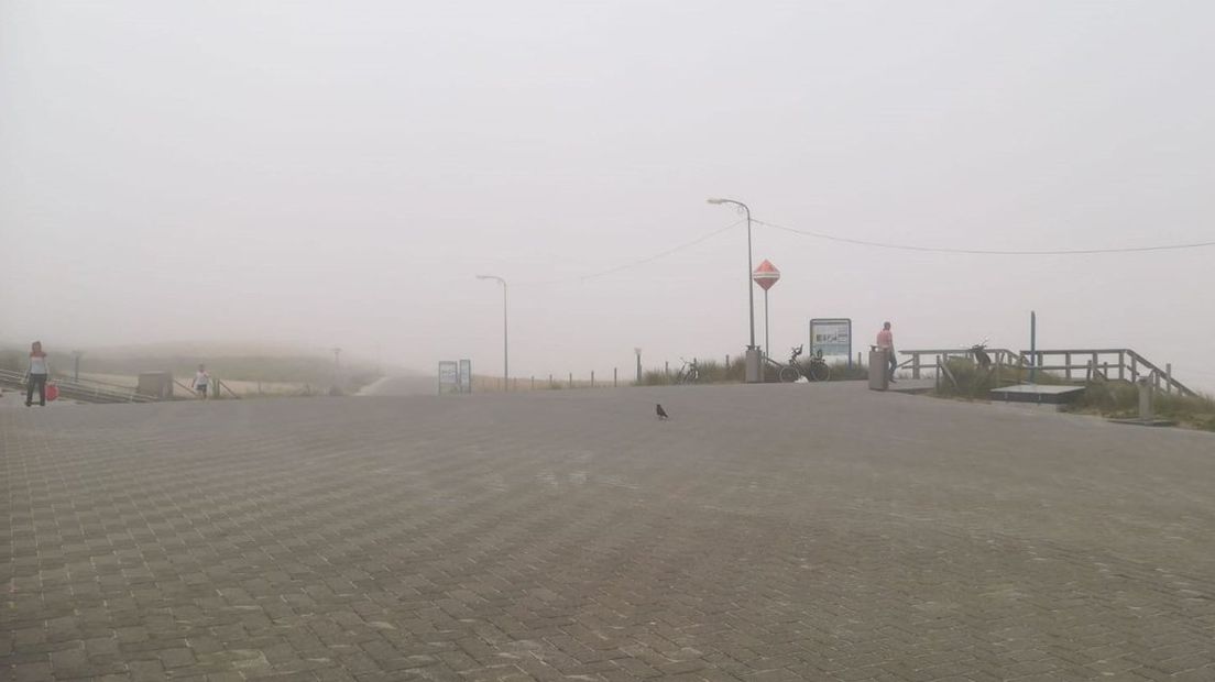 Opnieuw zeevlam: 'Met 16 graden wel koud in bikini' - Omroep West