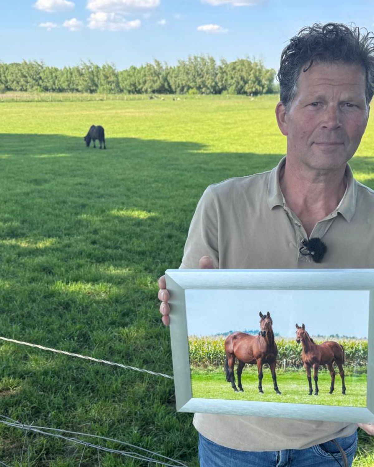 Kans op terugkeer gestolen paarden klein: 'Zo'n diefstal nog nooit ...