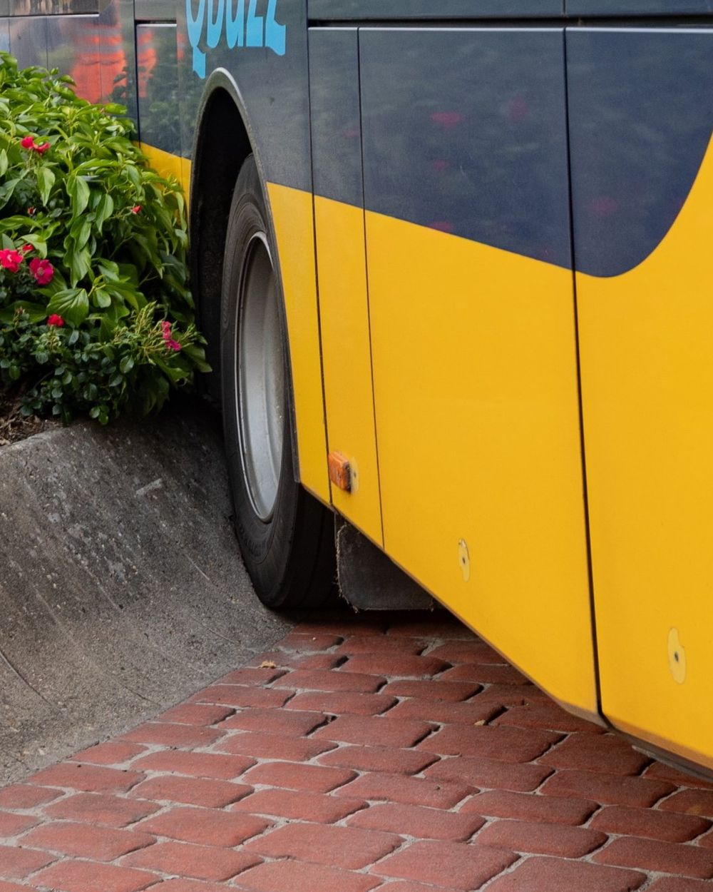 Bus rijdt zichzelf vast op rotonde in Wolvega - Omrop Fryslân