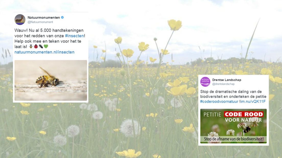 Natuurorganisaties starten petitie 'Code rood voor de natuur' - RTV Drenthe
