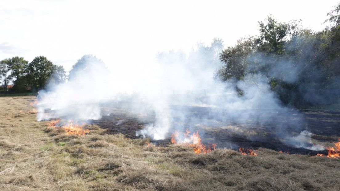 Jongens spelen met vuur: veld in brand - RTV Noord