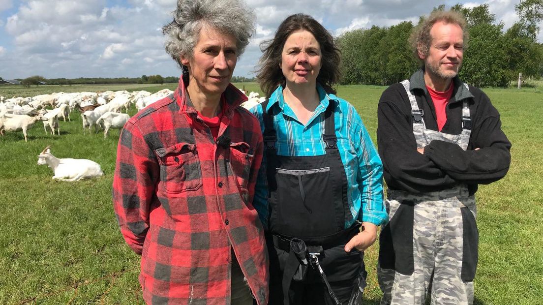 Biologische geitenboer start crowdfundingsactie - RTV Drenthe