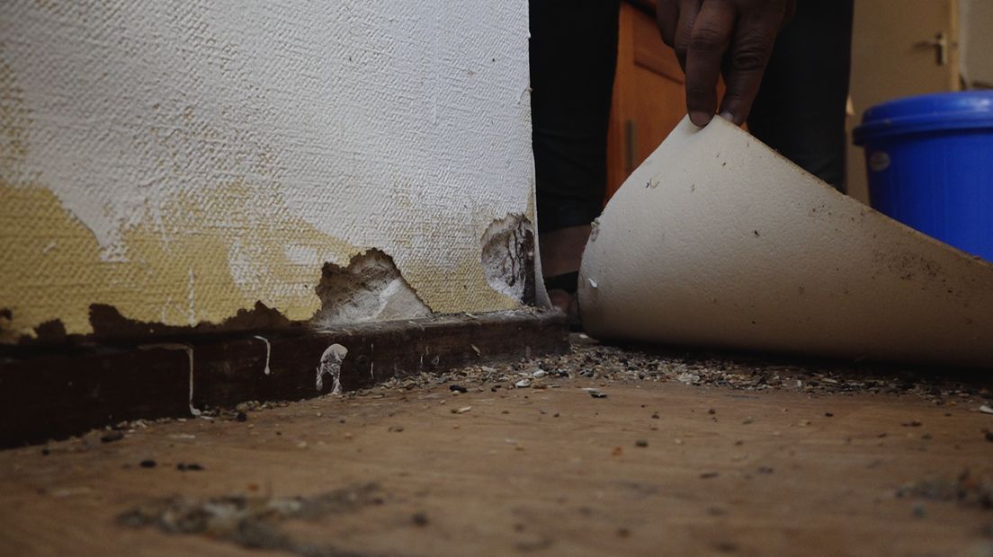 Ondanks muizenplaag wil Vestia woningen Trekweg pas over vijf jaar ...