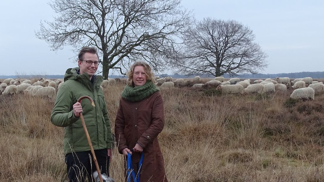 'Ik wilde altijd al schaapherder worden en dat is nu gelukt' - RTV Drenthe