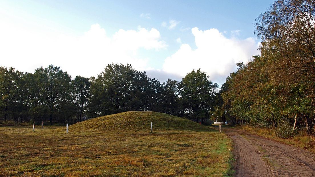 Op pad in de Drentse natuur: het Balloërveld - RTV Drenthe