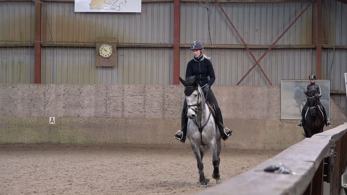 Ton voor verhuizing manege in Roden: 'Ik wacht rustig af' - RTV Drenthe