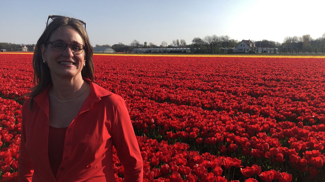 Knooppunt Holland: Route Johan & Diet rond Kagerplassen en Bollenstreek ...