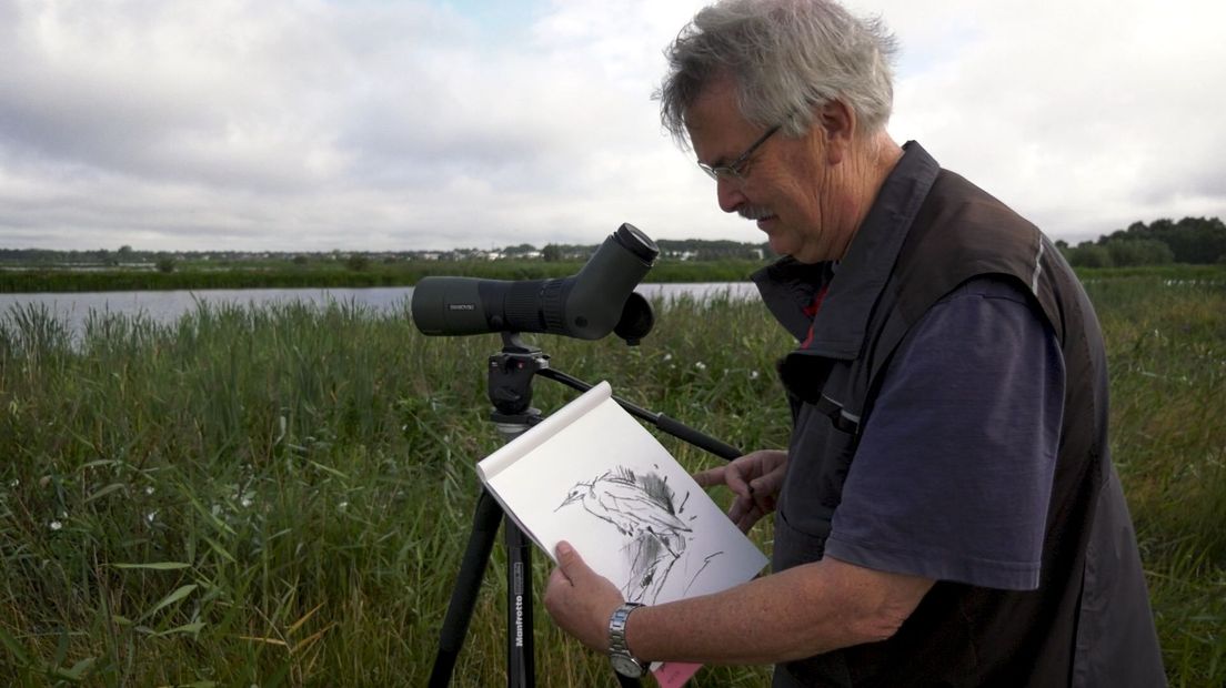De Beweeglijke Zilverreiger Vastgelegd Met Houtskool Roeg
