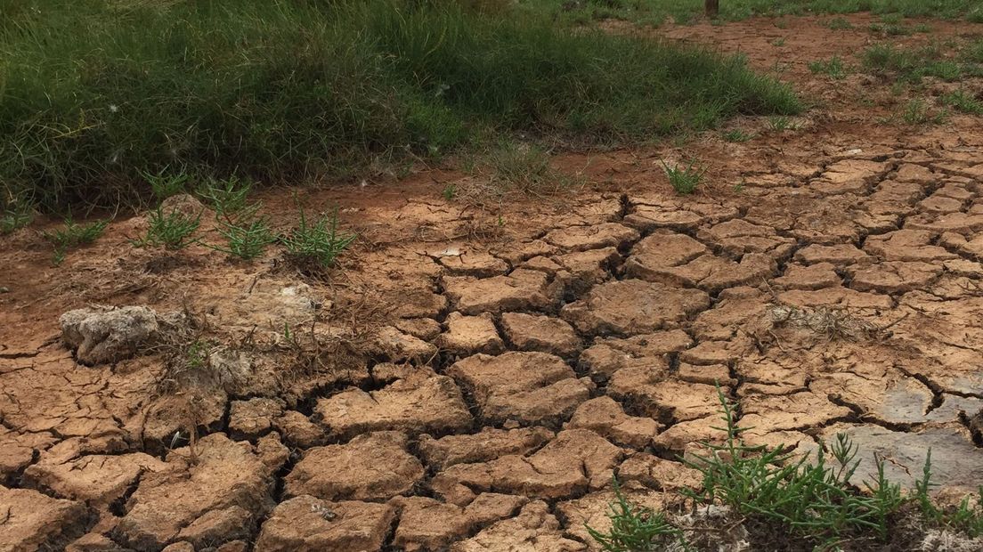 Waterschap in opperste paraatheid vanwege droogte: 'Het is nu écht ...
