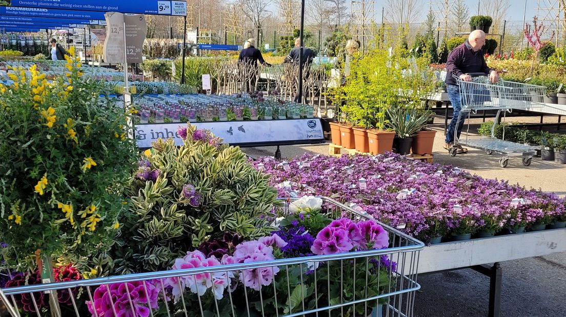 Intratuin Lisse jaar na enorme brand gedeeltelijk weer open: 'Ben er ...