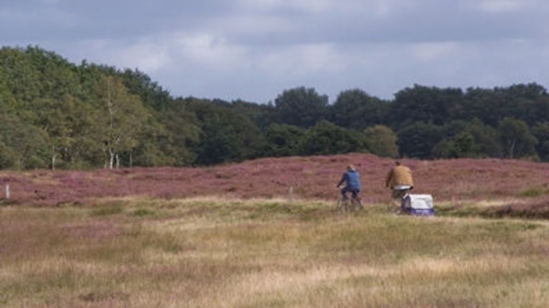 ‘Nationaal Park Drentsche Aa is uniek op wereldschaal’ - RTV Drenthe