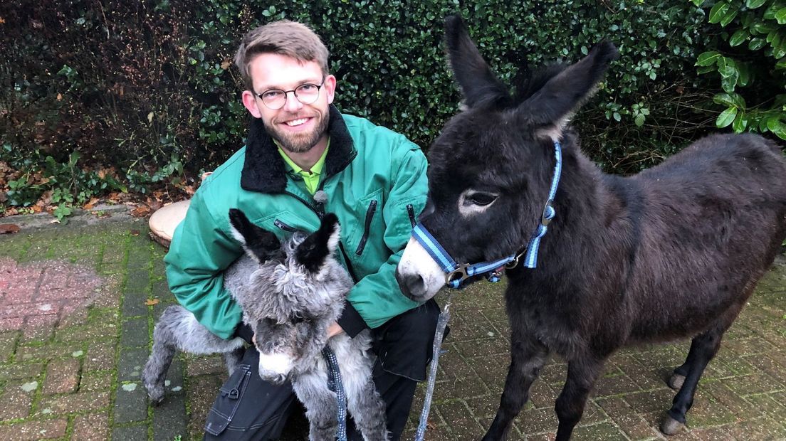 Bijzonder babynieuws in Sanjes Safari: mini-ezel Maria krijgt een ...