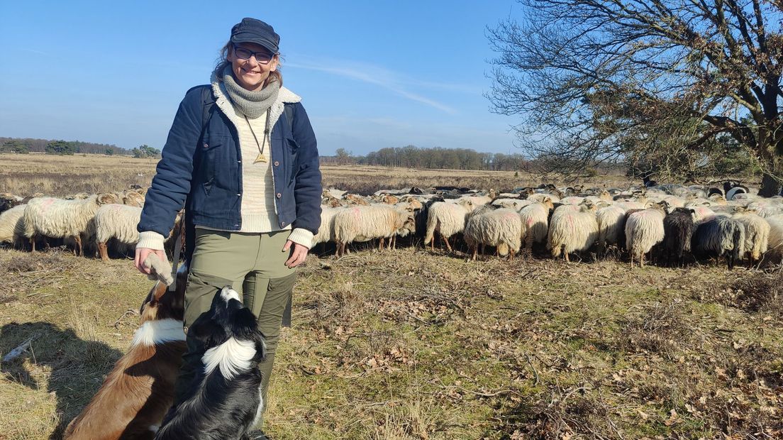 Drenten zoeken de zon op tijdens eerste lentedag - RTV Drenthe