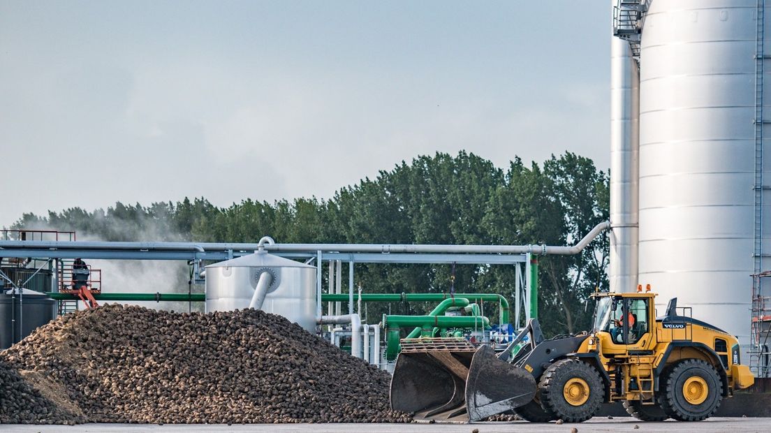 Cosun Beet Company maakt kleine fout met grote gevolgen - RTV Noord