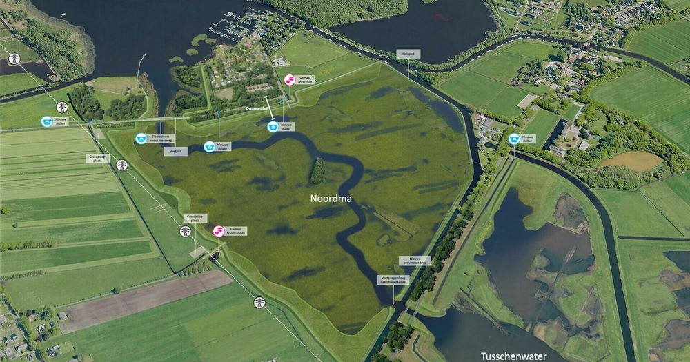 Nieuw natuurgebied Noordma moet wateroverlast en droogte helpen tegengaan - RTV Drenthe