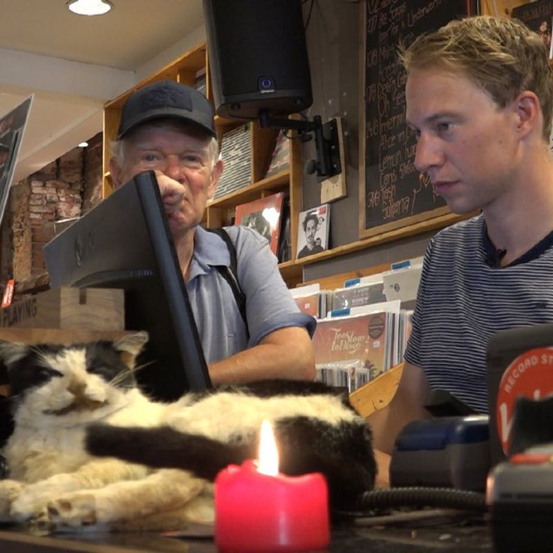 Herdenking voor populaire buurtpoes Bledder - Omroep West