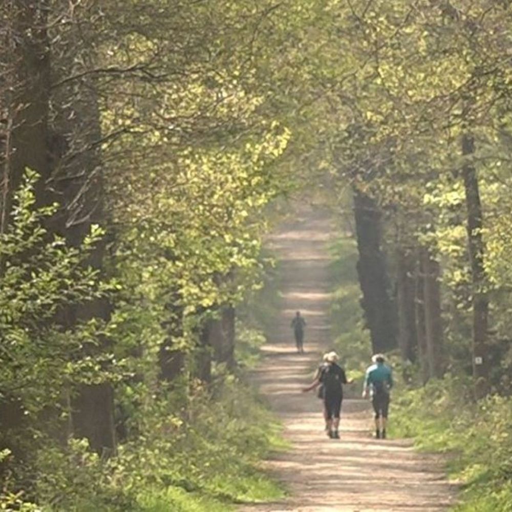 Stilte- of rustgebieden? Dit zijn de regels in de natuur - Omroep ...