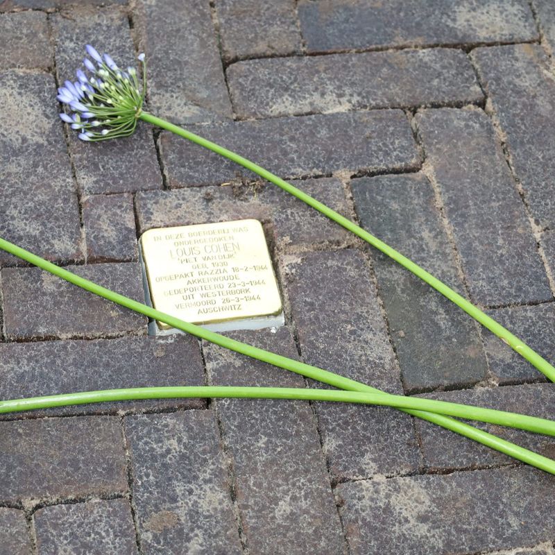 Kleine steen met groot verhaal: Damwâld staat stil bij Joodse Louis (13 ...