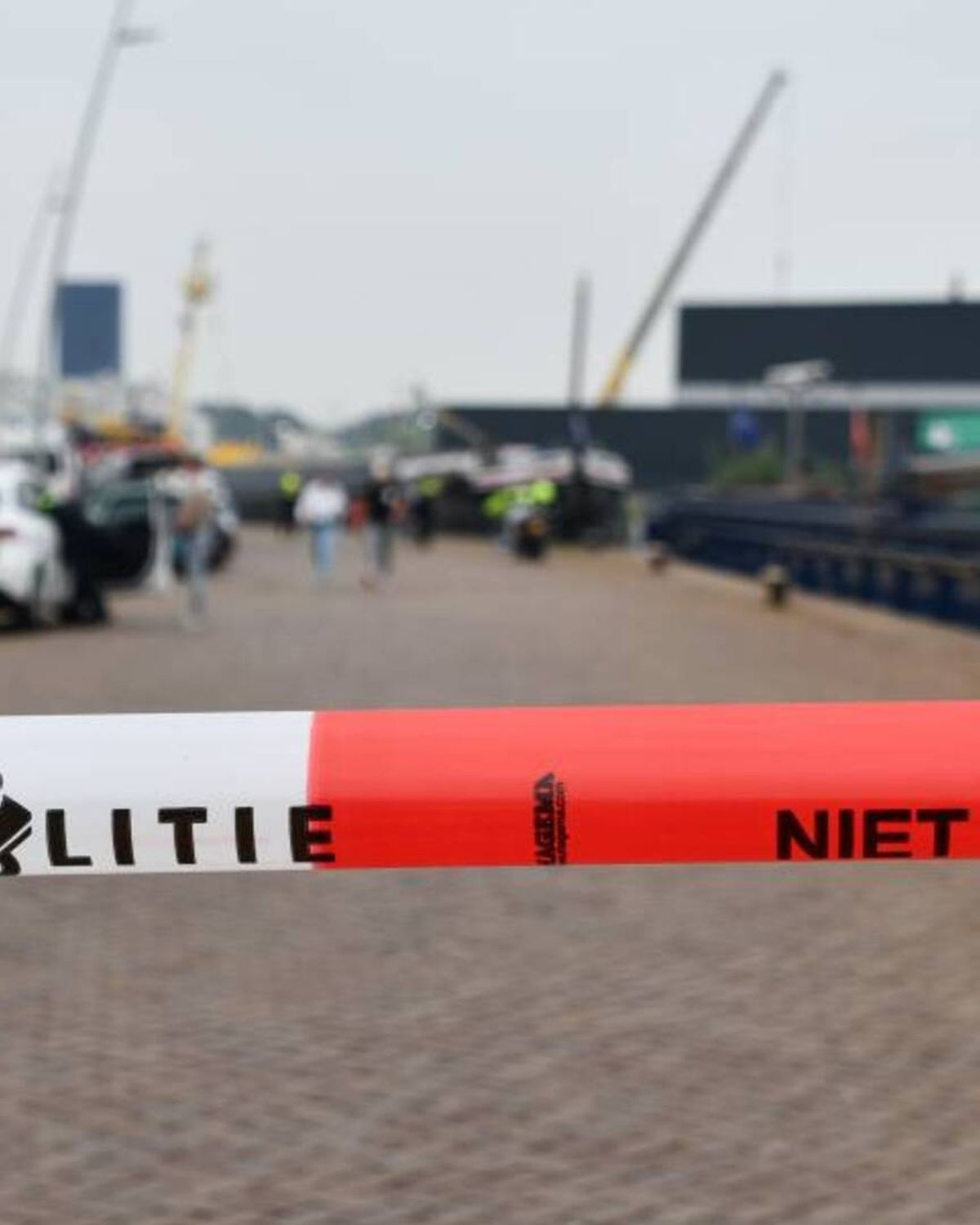 Man die opgepakt is na vondst dode vrouw in Terneuzen blijft verdachte maar is wel vrijgelaten ...