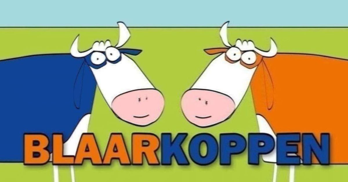 Blaarkoppen hopen op het Frank Lammers-effect - RTV Noord