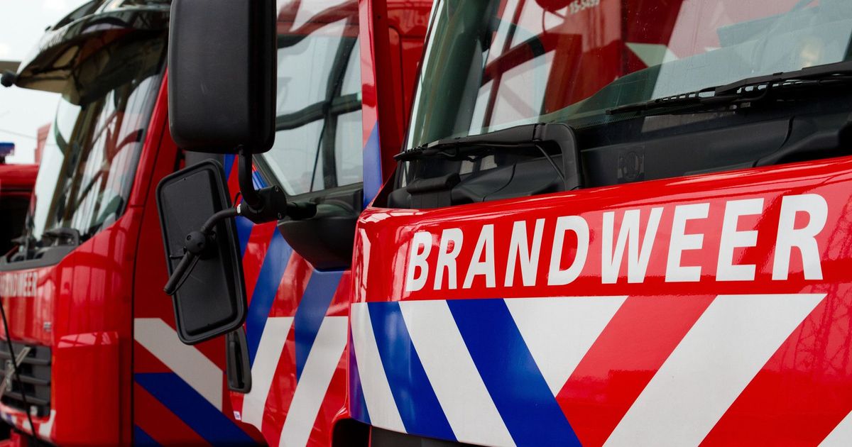 Veel rook bij brand in schuur - Omroep West