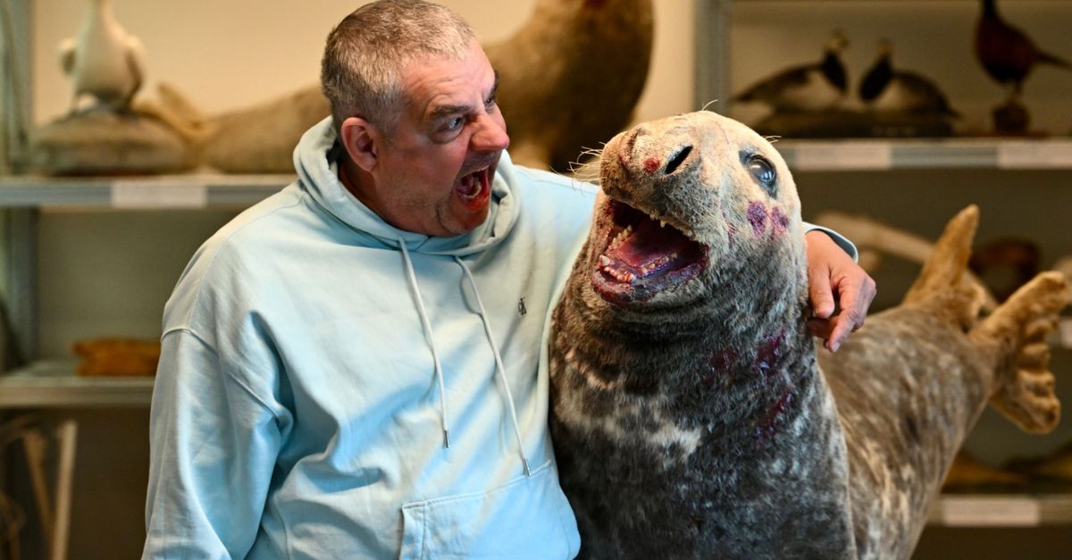 Frank Lammers ambassadeur WEC: 'Waddenzee is een van de mooiste ...