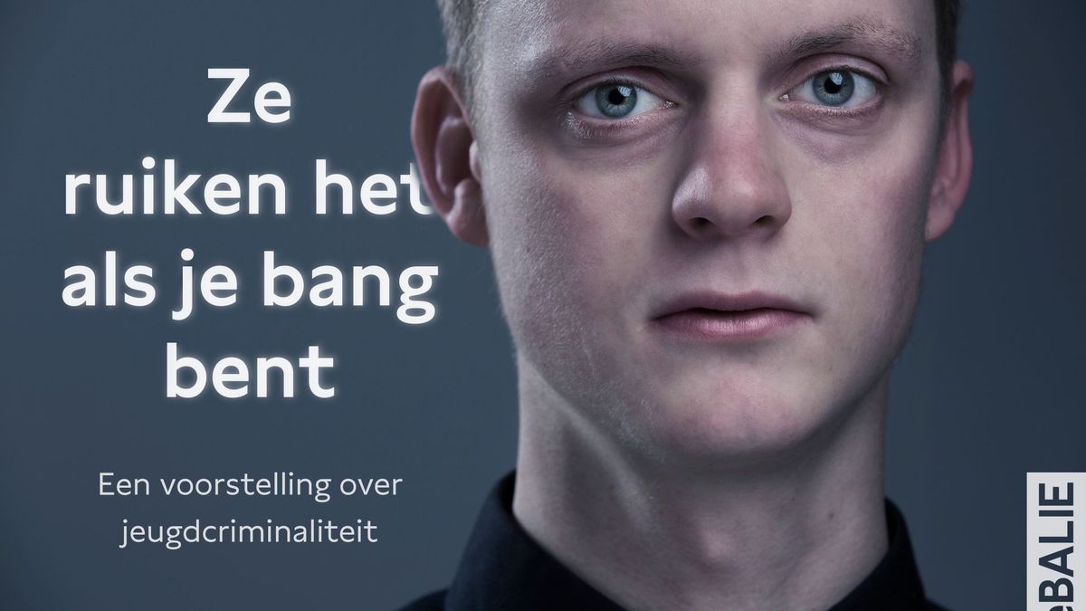 Voorstelling over jeugdcriminaliteit: 'Ze ruiken het als je bang bent ...