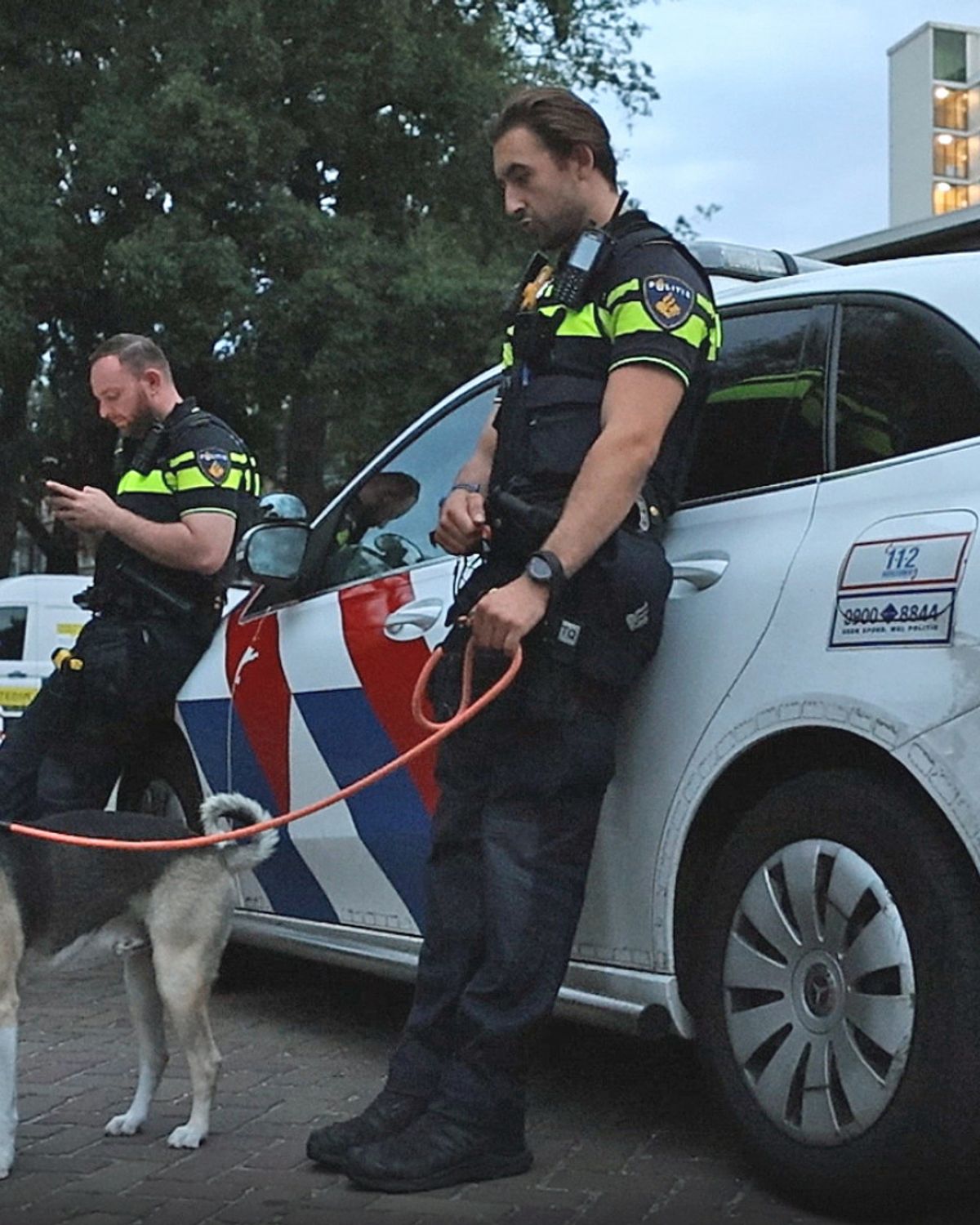 Politie bevrijdt blaffende hond uit auto - Omroep West