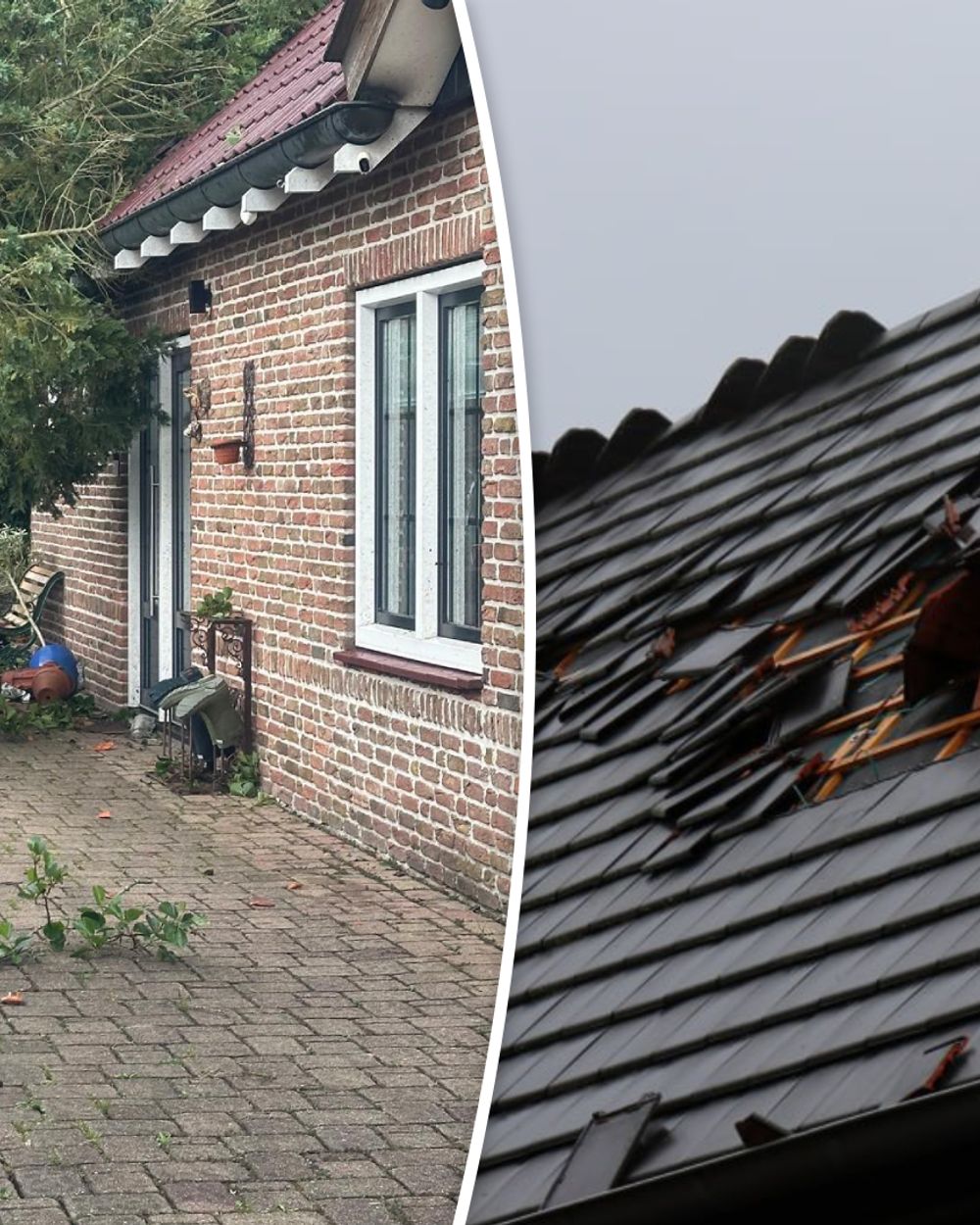Gebied in Glanerbrug na windhoos weer asbestvrij - Oost
