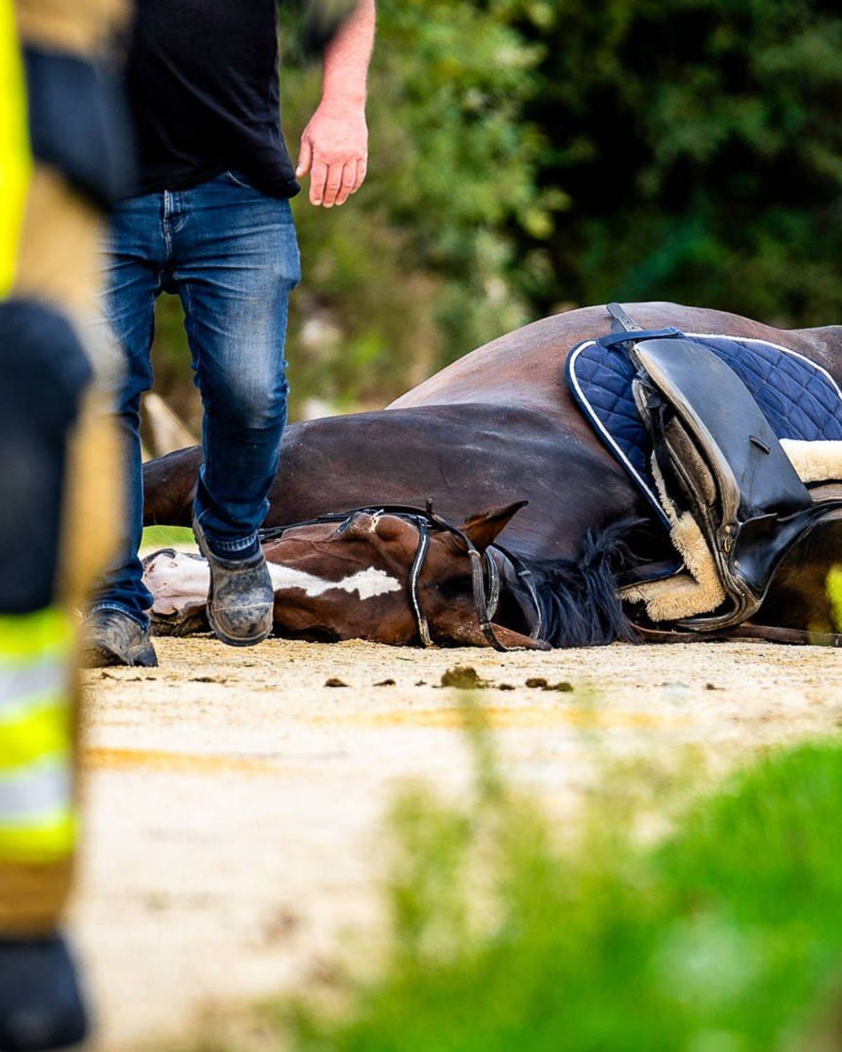 Ruiter komt ten val, paard dood - Omroep Gelderland
