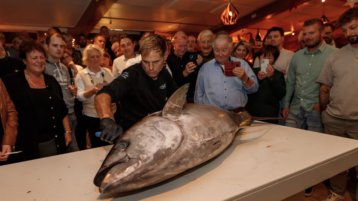 Vis fileren lastig? 'Veel makkelijker dan mensen denken' - Omroep West