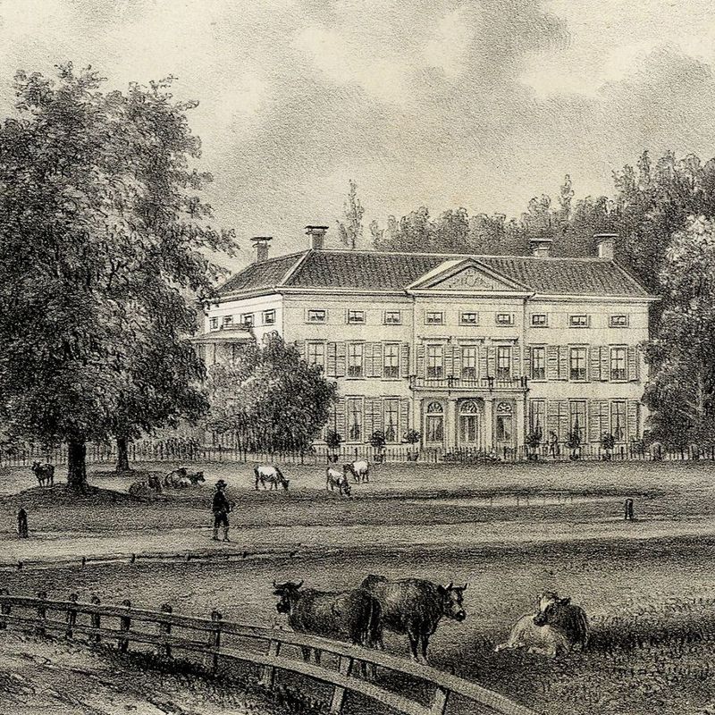 Een koning, een skelet en andere sappige details: boek over 500 jaar ...