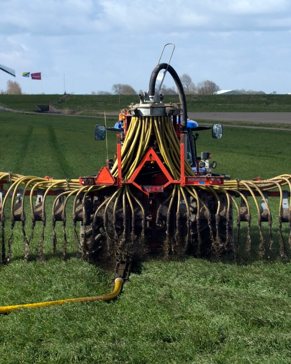 Groningse boeren leggen zich niet neer bij fosfaatnorm en stappen naar Europa - RTV Noord
