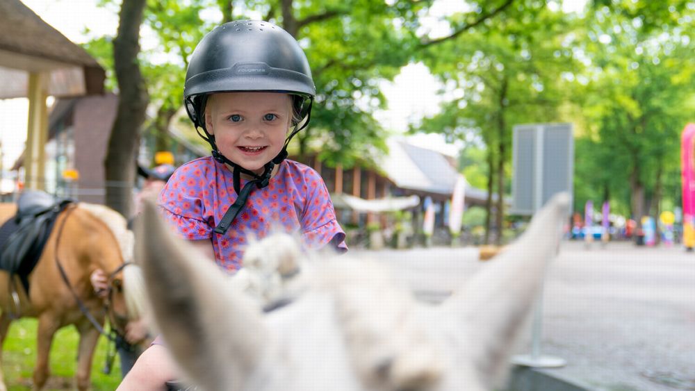 In beeld: Alles Kids festival in Emmen - RTV Drenthe