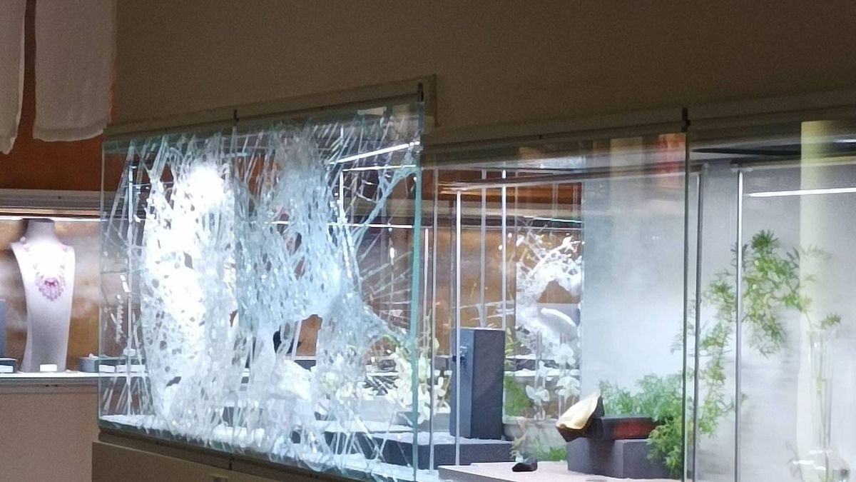 Roof TEFAF: Duitse en Belgische politie helpen daders zoeken - L1 Nieuws