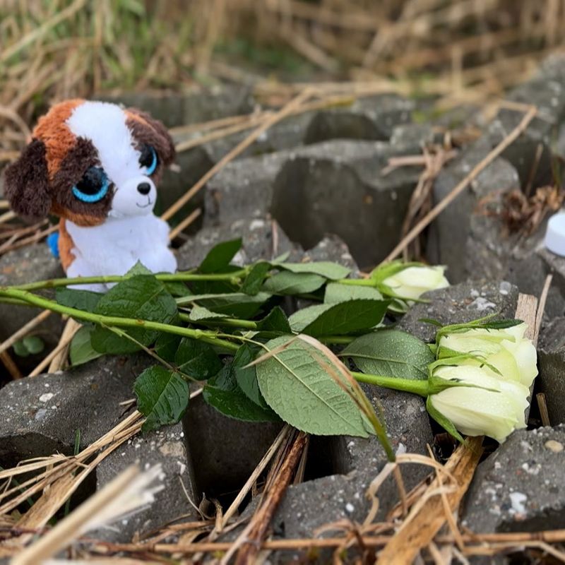 Overleden baby gevonden in de Lek - RTV Utrecht