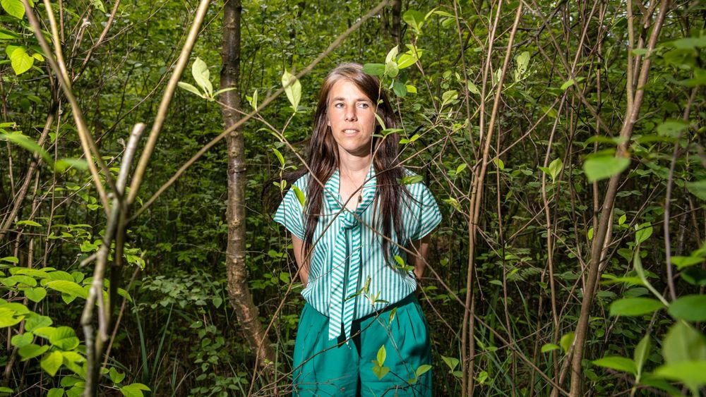 Filosoof Eva Meijer geeft online lezing vanuit DNK - RTV Drenthe