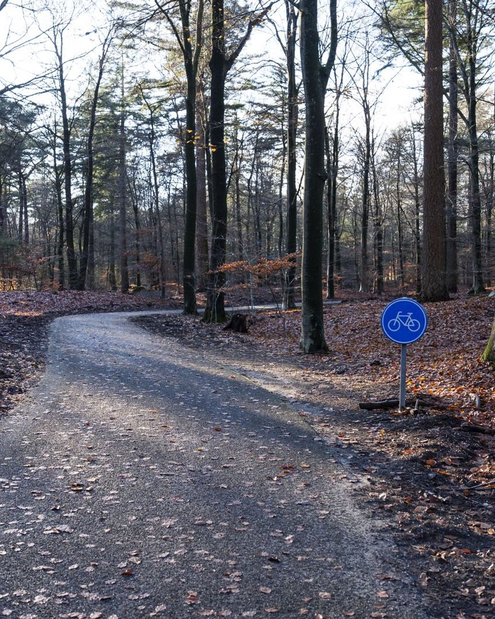 Natuurliefhebbers kunnen langer van deze plek genieten: werkzaamheden ...